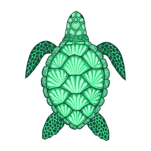 Sea turtle in line art style hand drawn design Vector Image