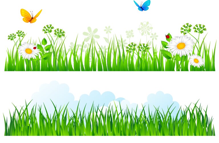 Grass border Royalty Free Vector Image - VectorStock