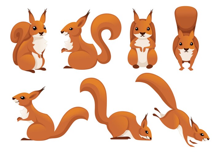 Cute Cartoon Squirrel – Royalty-Free Vector | VectorStock