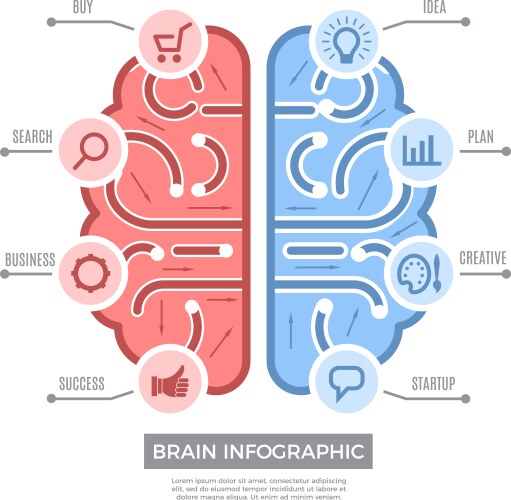 Concept of the human brain Royalty Free Vector Image