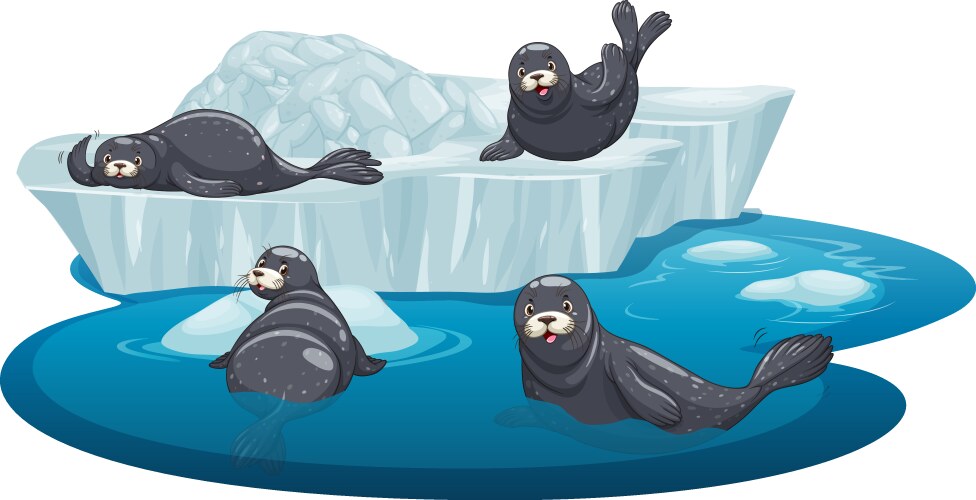 Cartoon Seals Vector Images (over 16,000)