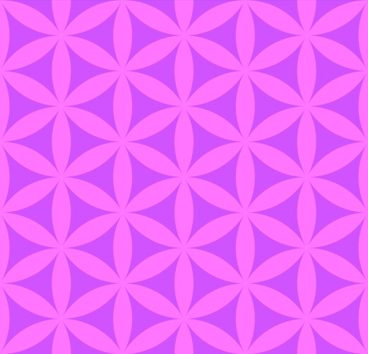 Sacred geometry flower of life stars Royalty Free Vector