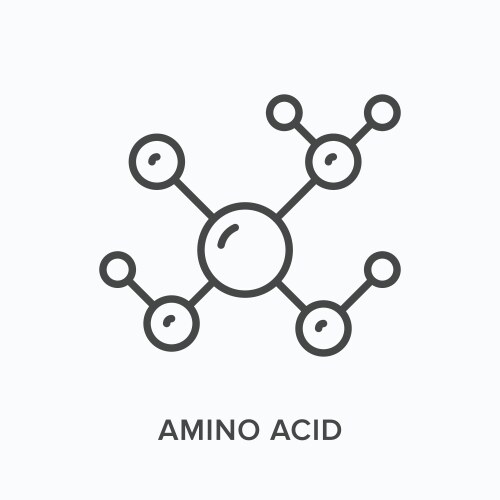 Biogenic amino acids Royalty Free Vector Image