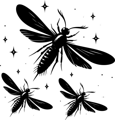 Beautiful firefly insect silhouette isolated Vector Image