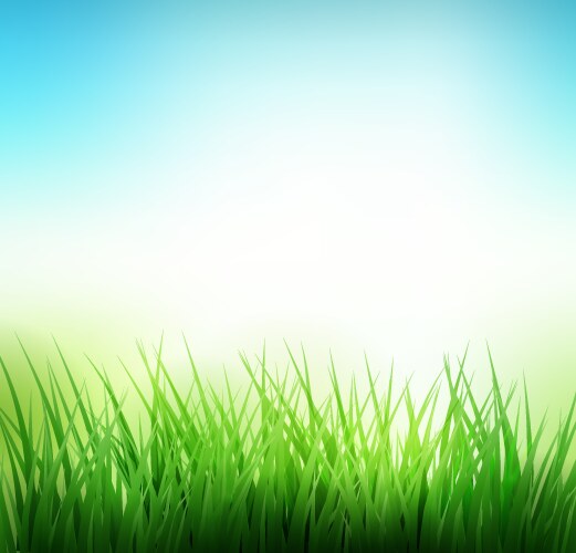 Green grass Royalty Free Vector Image - VectorStock