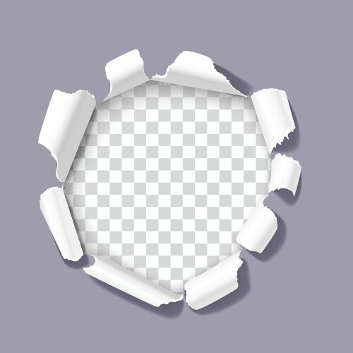 Torn hole in sheet gray paper on transparent Vector Image