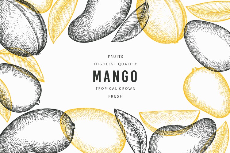 Tropical fruit seamless pattern ripe mango sketch Vector Image