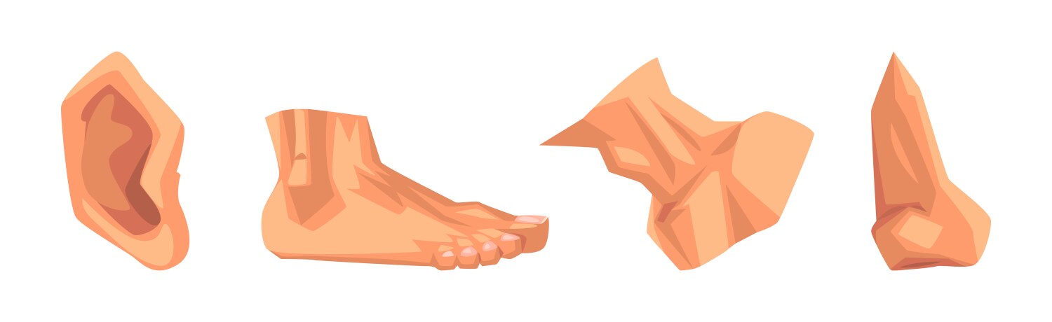 Human body part separated with skin set Royalty Free Vector