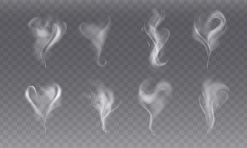 Realistic smoke steam collection transparent Vector Image