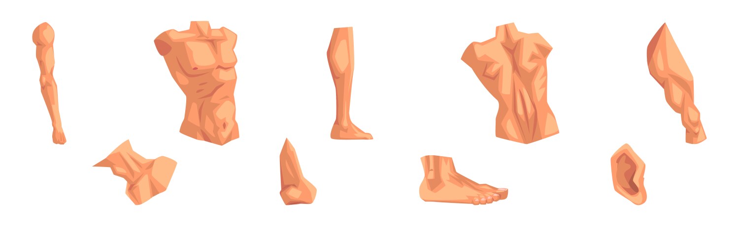 Human body part separated with skin set Royalty Free Vector