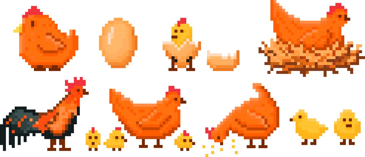 Pixel art chicken hatching hen life cycle Vector Image