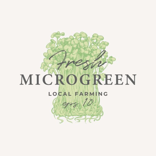 Microgreen Logo Vector Images (over 430)