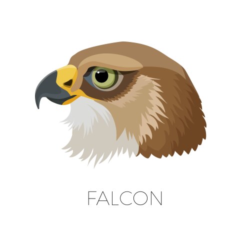 Falcon Vector Images (over 32,000)