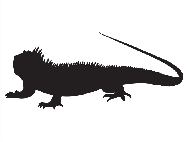 Iguana Vector Images (over 6,400)