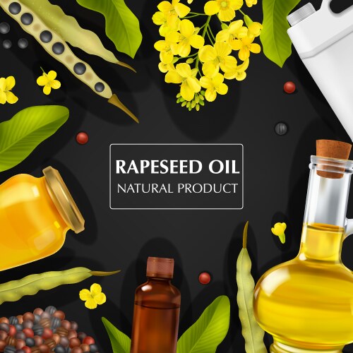 Oilseed Rape Vector Images (over 150)