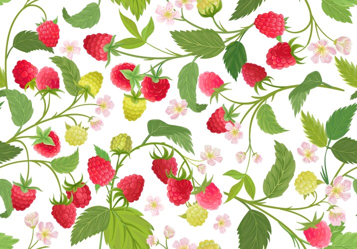 Raspberry seamless pattern Royalty Free Vector Image