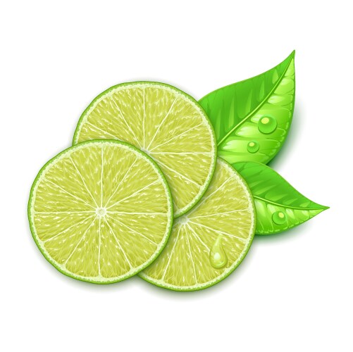 Lime Vector Images (over 240,000)