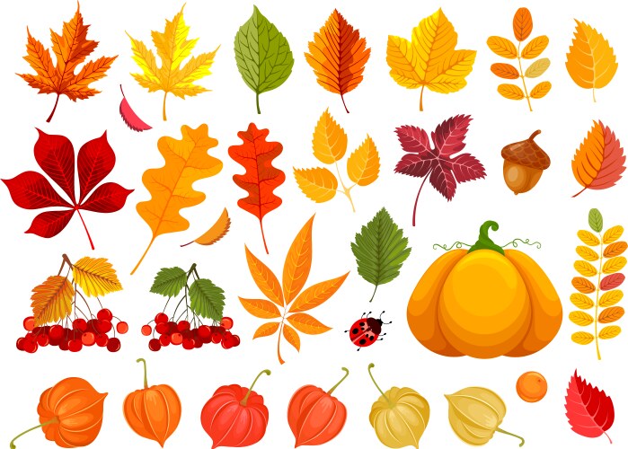 Fall Leaves Cartoon Vector Images (over 18,000)