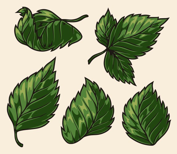 Seasonal rose monochrome set labels Royalty Free Vector