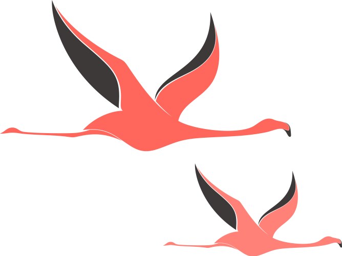 Flamingo Vector Images (over 32,000)