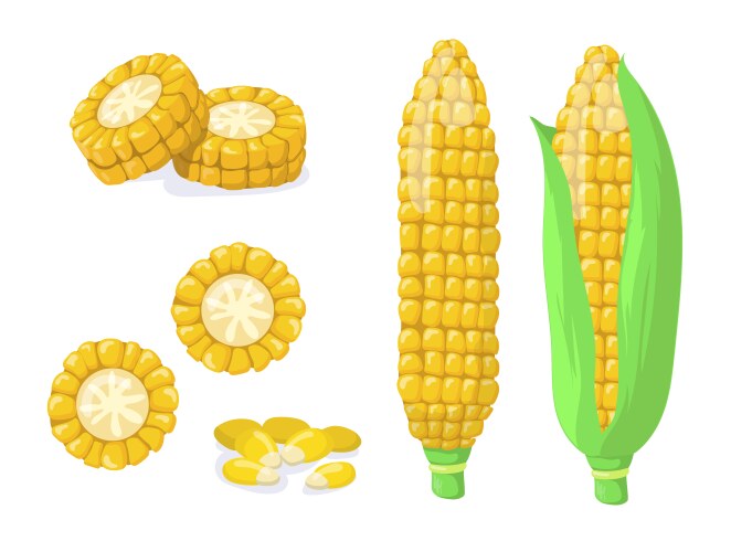 Maize Vector Images (over 13,000)