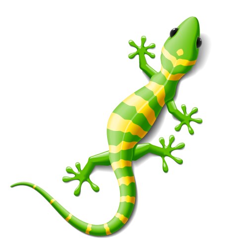 Gecko Cartoon Vector Images (over 3,500)