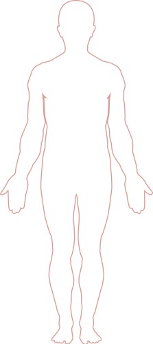 Male Body Outline Male Body Shapes. Human Body Outline. Vector