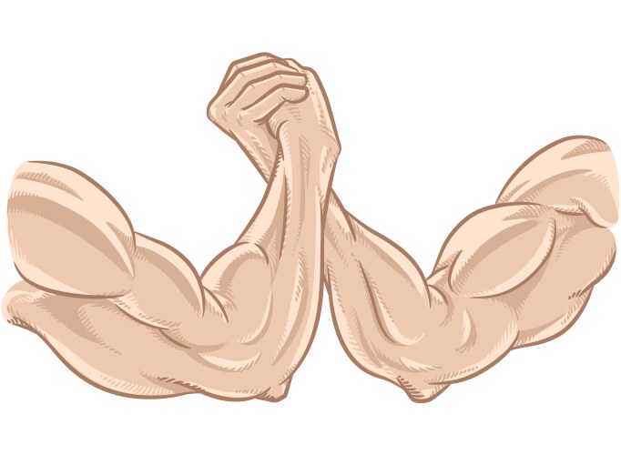 Muscular fighter crossed arm Royalty Free Vector Image Muscular fighter crossed arm Royalty Free Vector Image