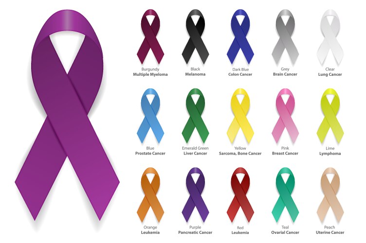 Set ribbon all cancers cancer awareness ribbons Vector Image