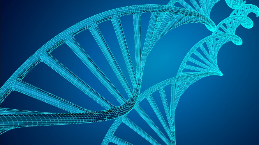 Genome dna structure eps Royalty Free Vector Image