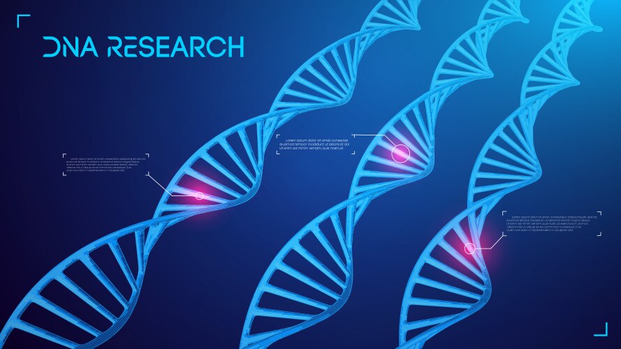 Genome dna structure eps Royalty Free Vector Image