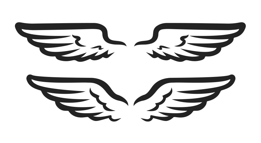 Circular open wings badge symbol design graphic Vector Image