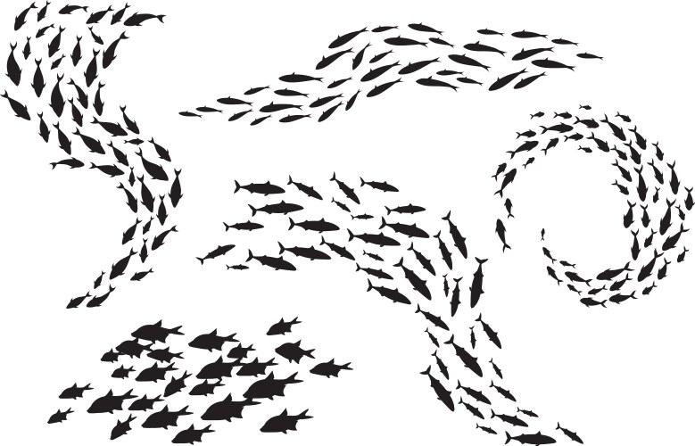 Spiral of fish shoal Royalty Free Vector Image