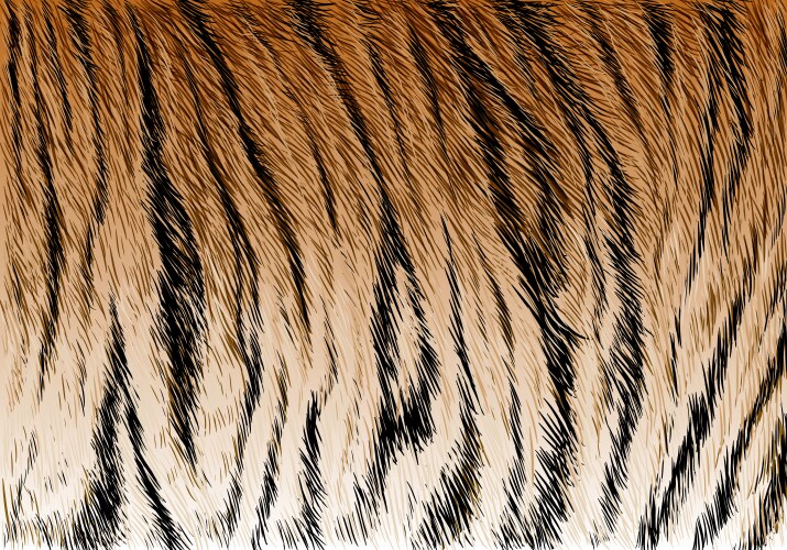 Bengal tiger stripe pattern Royalty Free Vector Image
