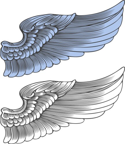 Wing Vector Images (over 480,000)