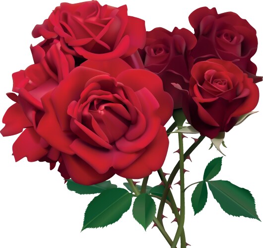 Rose Vector Images (over 290,000)