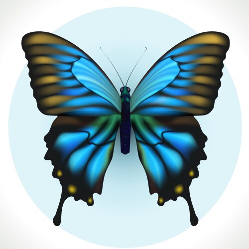 Butterfly Vector Images (over 170,000)