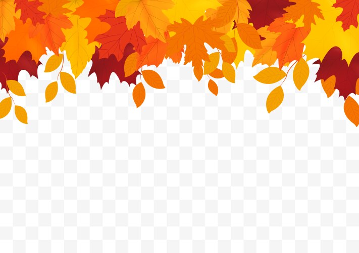 Autumn border with transparent background Vector Image