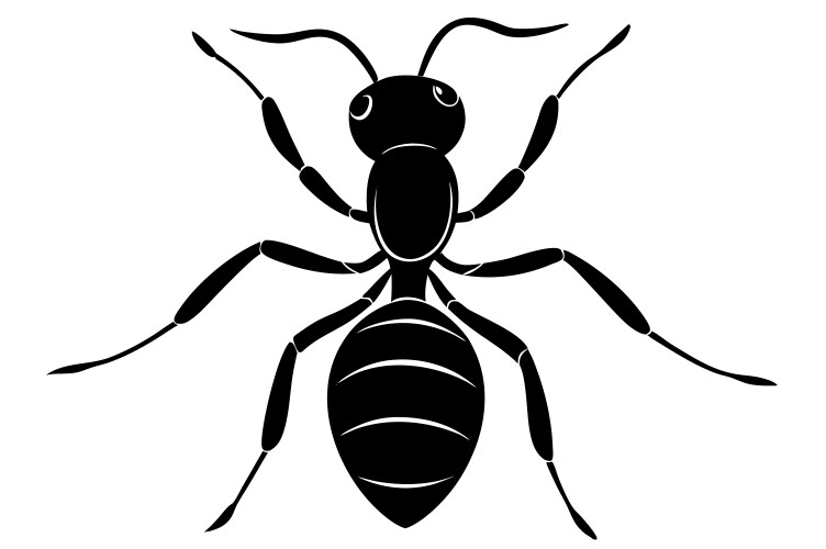 Ant Food Teamwork Vector Images (over 120)