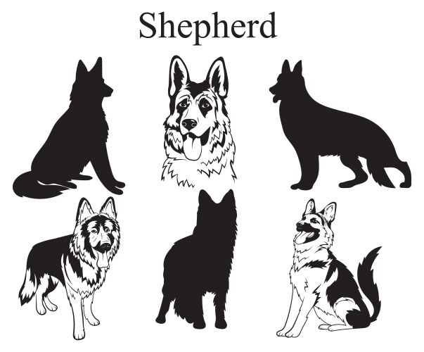 German Shepherd Head Outline Vector Images (over 640)