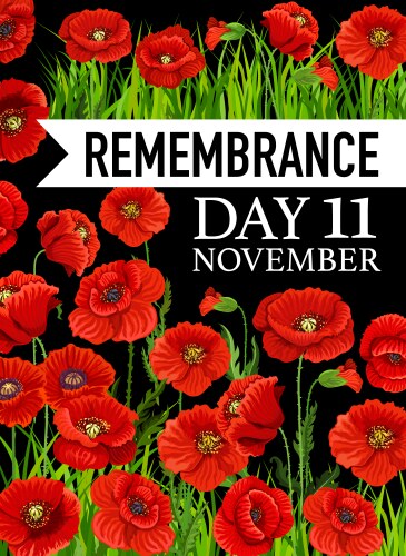 11 november poppy remembrance day card Royalty Free Vector