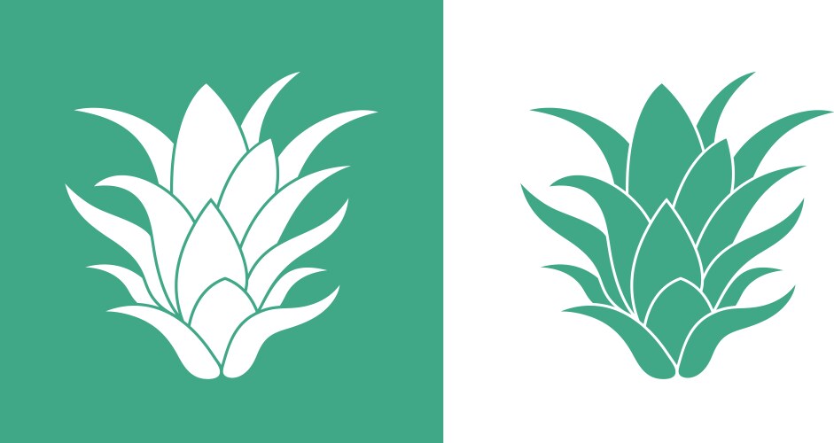 Agave Plant Vector Images (over 4,900)