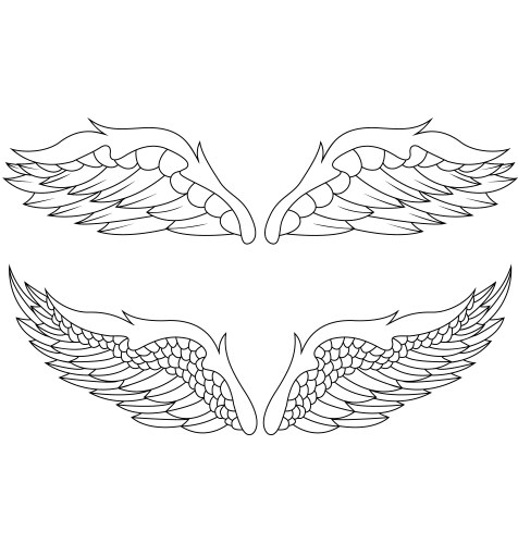 Contour image of diamond wings ribbon Royalty Free Vector
