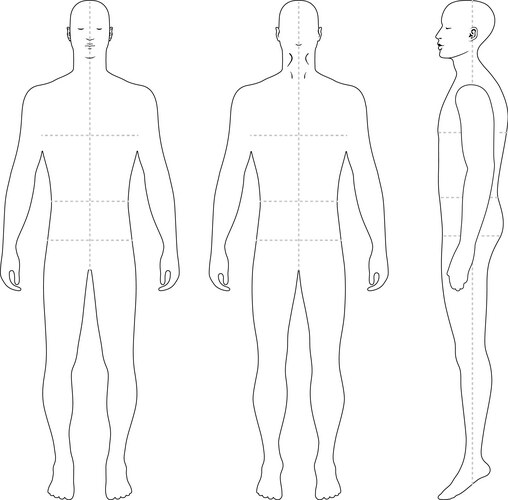 Fashion Figure Template - Anatomical Study – Royalty-Free Vector ...
