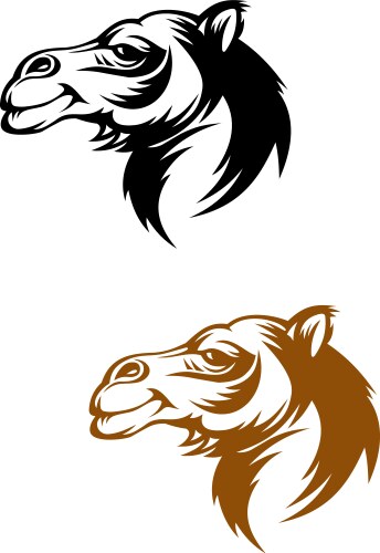 Camel Animation Vector Images (over 11,000)