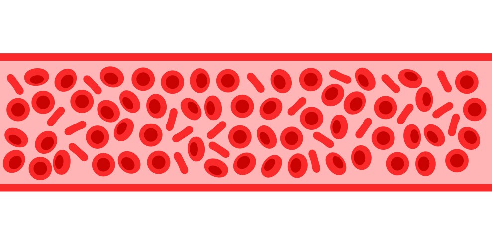 Blood Vessel Vector Images (over 6,300)