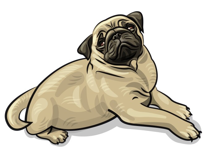 Pug Vector Images (over 11,000)