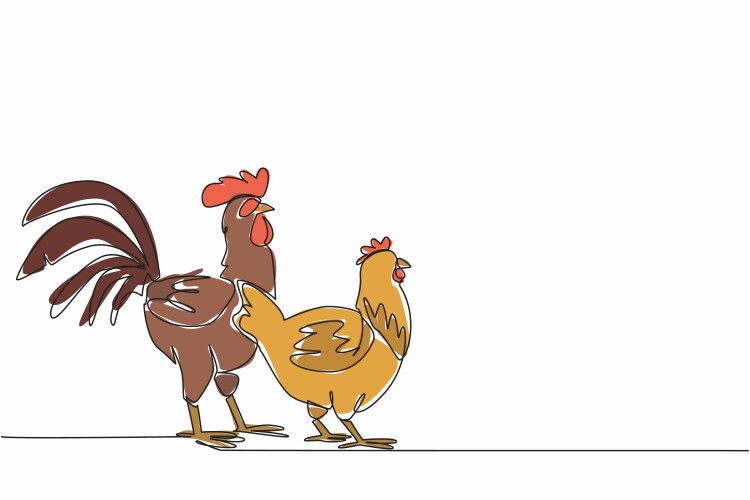 Continuous one line drawing mother hen standing Vector Image