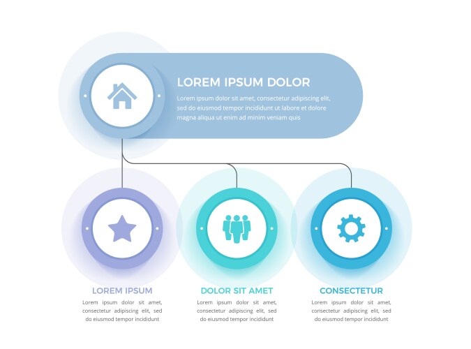 Infograph template with multiple choices Vector Image