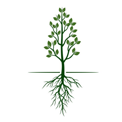 Grass with roots Royalty Free Vector Image - VectorStock